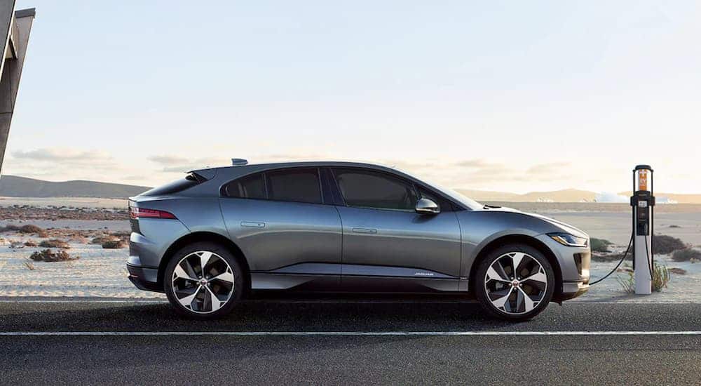 Exploring Jaguar's Electrified Future | Car Life Nation