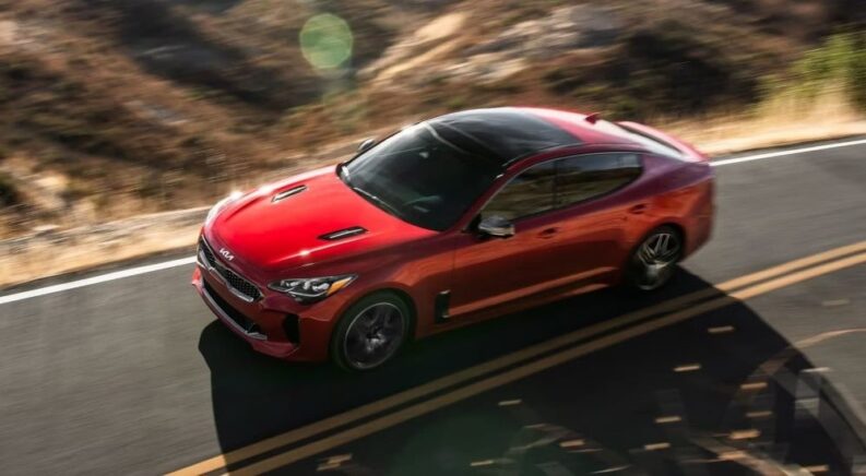 Float Like A Butterfly, Sting Like The Kia Stinger